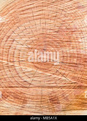 Wood Age Rings texture Stock Photo - Alamy