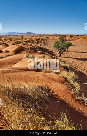 deserted landscape of NamibRand Nature Reserve, Namibia, Africa Stock ...