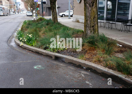 A curbside extension and rain garden in Portland, Oregon designed to ...