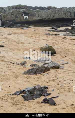 Stag rock, Bamburgh - white stag painted on the rock face Stock Photo ...