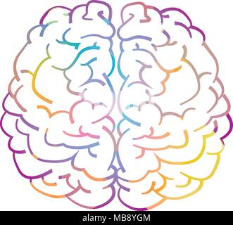 Left and right human brain. Creative half and logic half of human mind ...