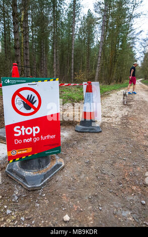STOP, Do not go further sign in a forest Stock Photo - Alamy