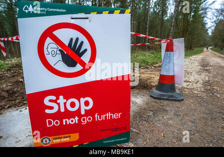 STOP, Do not go further sign in a forest Stock Photo - Alamy