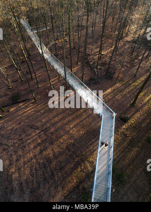 Tree trail in the Steigerwald, Ebrach, Bavaria, Germany Stock Photo - Alamy