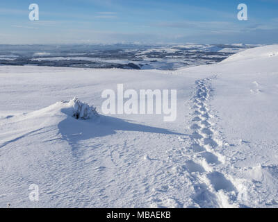 Campsie Fells in snow from Strathblane Stock Photo - Alamy