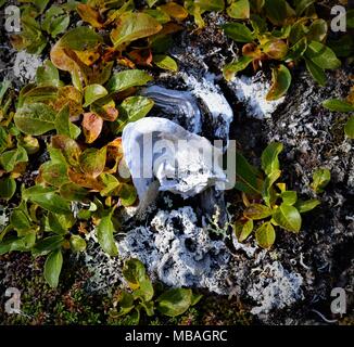 Colors, Shapes and Lines Oh My Stock Photo - Alamy