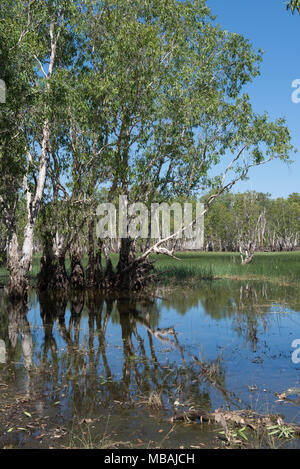 Tabletop Swamp in Litchfield National Park, Northern Territory ...