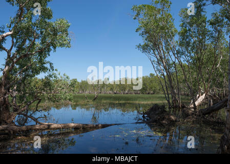 Tabletop Swamp in Litchfield National Park, Northern Territory ...