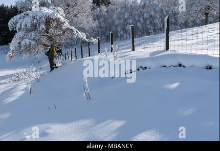 Winter above Romanno Bridge in the Scottish Borders Stock Photo - Alamy