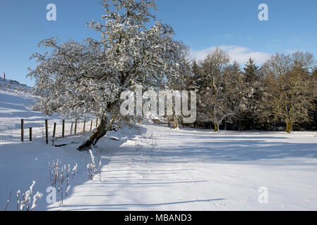 Winter above Romanno Bridge in the Scottish Borders Stock Photo - Alamy
