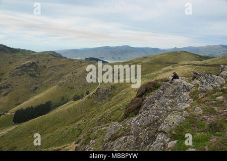 On top of the Bridle Path Track, the original route between the ...