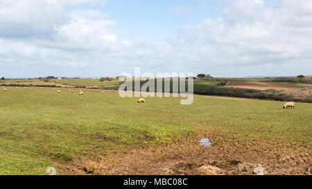 panoramic farmland in Cornwall Stock Photo - Alamy