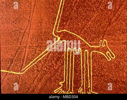 Nazca Sand drawing. Peru Computer enhanced picture of a fish Stock ...