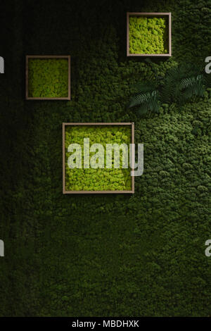 Beautiful textured border with green moss outdoors, closeup Stock Photo ...