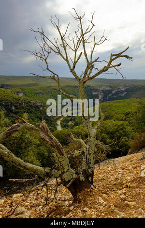 The spectacular limestone landscape of the Gorges de l'Ardeche in the ...