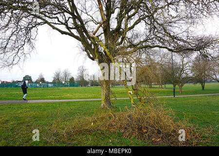 Walking Paths at Roe Green Park in Kingsbury, London, Brent, England, U ...