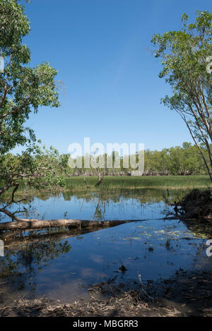 Tabletop Swamp in Litchfield National Park, Northern Territory ...