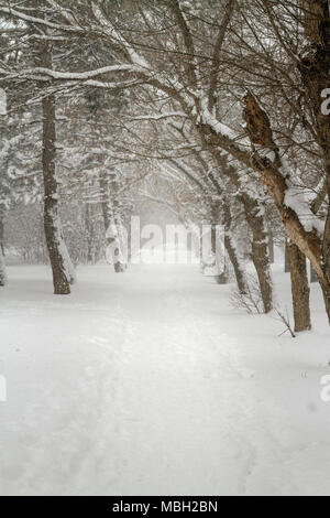 Alley in snowy morning Stock Photo - Alamy