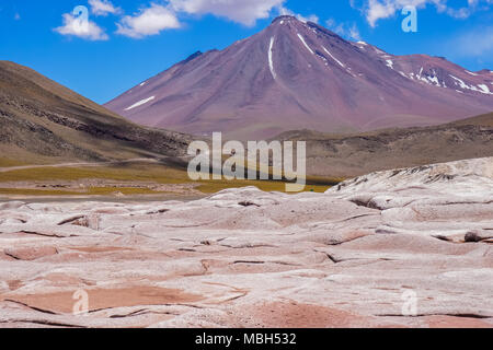 Atacama Lakes, Mountains and Wildlife Stock Photo - Alamy