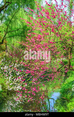 Hangzhou, China. 11th Apr, 2018. Hangzhou, CHINA-Spring scenery of West ...