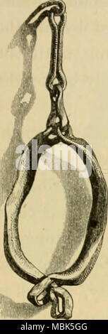 "The archaeology and prehistoric annals of Scotland" (1851 Stock Photo ...