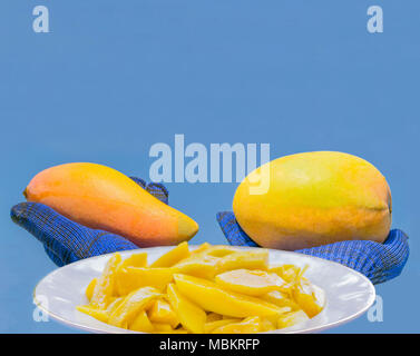 The hand with the glove are catching the ripe of mango with the blue ...