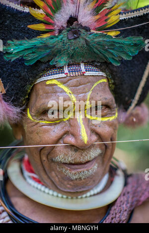 A ceremonial Huli wig/headdress, Tari Valley, Papua New Guinea Stock ...