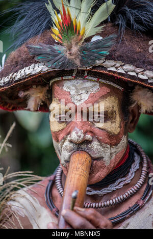 A Huli wigman with painted face smokes from a bamboo pipe, Tari Valley ...