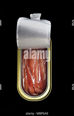 Tin Can of Sardines or Anchovies close up isolated on white backround ...
