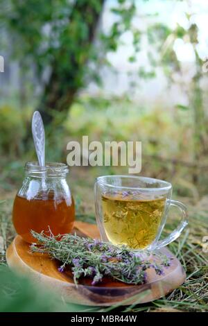 Thyme herbal tea Stock Photo - Alamy