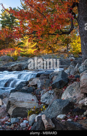 South Bala Falls and autumn colours in Bala, Muskoka, Ontario, Canada ...