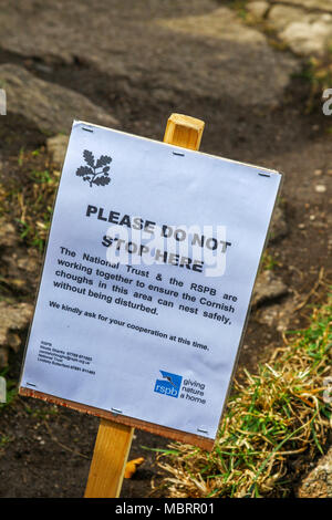 RSPB sign warning for nesting birds at breeding colony of Arctic terns ...