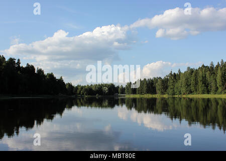 beautiful lake landscape with trees and herbs Stock Photo - Alamy