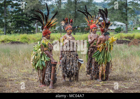 Tribe in traditional costume, sing sing, Morobe Show, Lae, Papua New ...