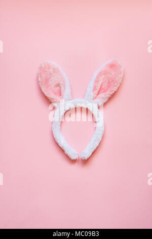 Closeup of a cute white rabbit. Top view Stock Photo - Alamy