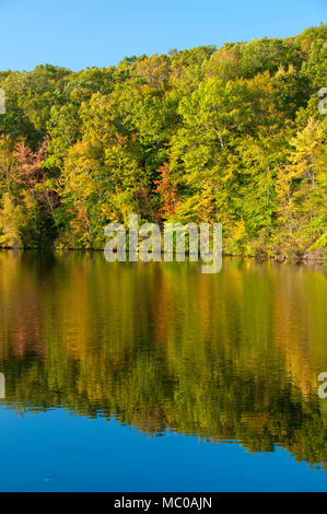 Pattaconk Reservoir, Cockaponset State Forest, Connecticut Stock Photo ...