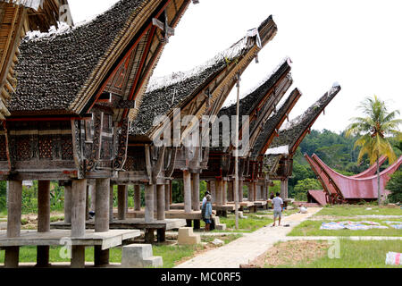 Tongkonans, traditional Toraja houses with massive peaked-roofs, in a ...