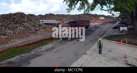 Mounds of vegetative debris are collected and sorted by U.S. Army Corps ...