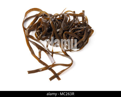 Thongweed – Sea thong – Sea spaghetti – Espagheti de mar Sea spaghetti ...