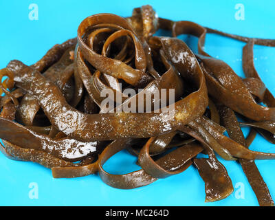 Thongweed – Sea thong – Sea spaghetti – Espagheti de mar Sea spaghetti ...