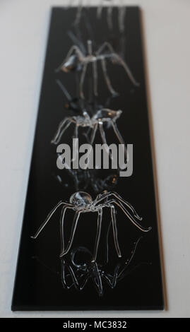 Little Red Riding Hood , Fairy tales, Wolves, Children, Impersonation ...