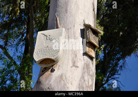 Schwegler bat box next to an artisan cork peel bat box hanging from an ...