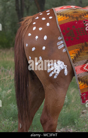 Horse's rump decorated with symbol in Comanche war paint Stock Photo ...