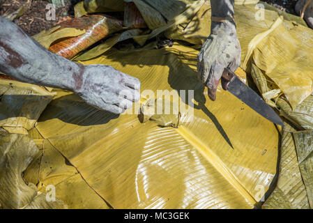 Preparation of typical papuan dish called "mumu", Goroka area, Eastern ...