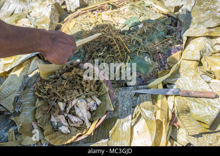 Preparation of typical papuan dish called "mumu", Goroka area, Eastern ...