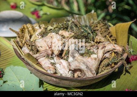 Preparation of typical papuan dish called "mumu", Goroka area, Eastern ...
