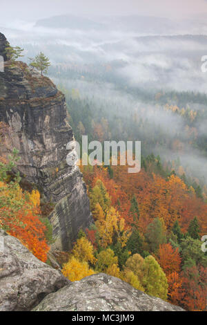 View over saxonian switzerland from Bastei rock Stock Photo - Alamy