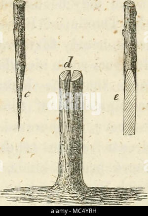 "The fruit, flower, and kitchen garden" (1851 Stock Photo - Alamy