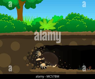 A Animal Underground Habitat illustration Stock Vector Image & Art - Alamy