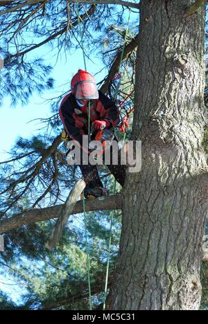 Calvin Swenson with contractor Viking Brothers Landscaping of Rubicon ...